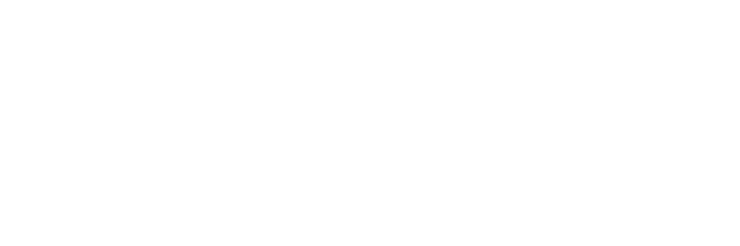 PROPPER – Bull Army